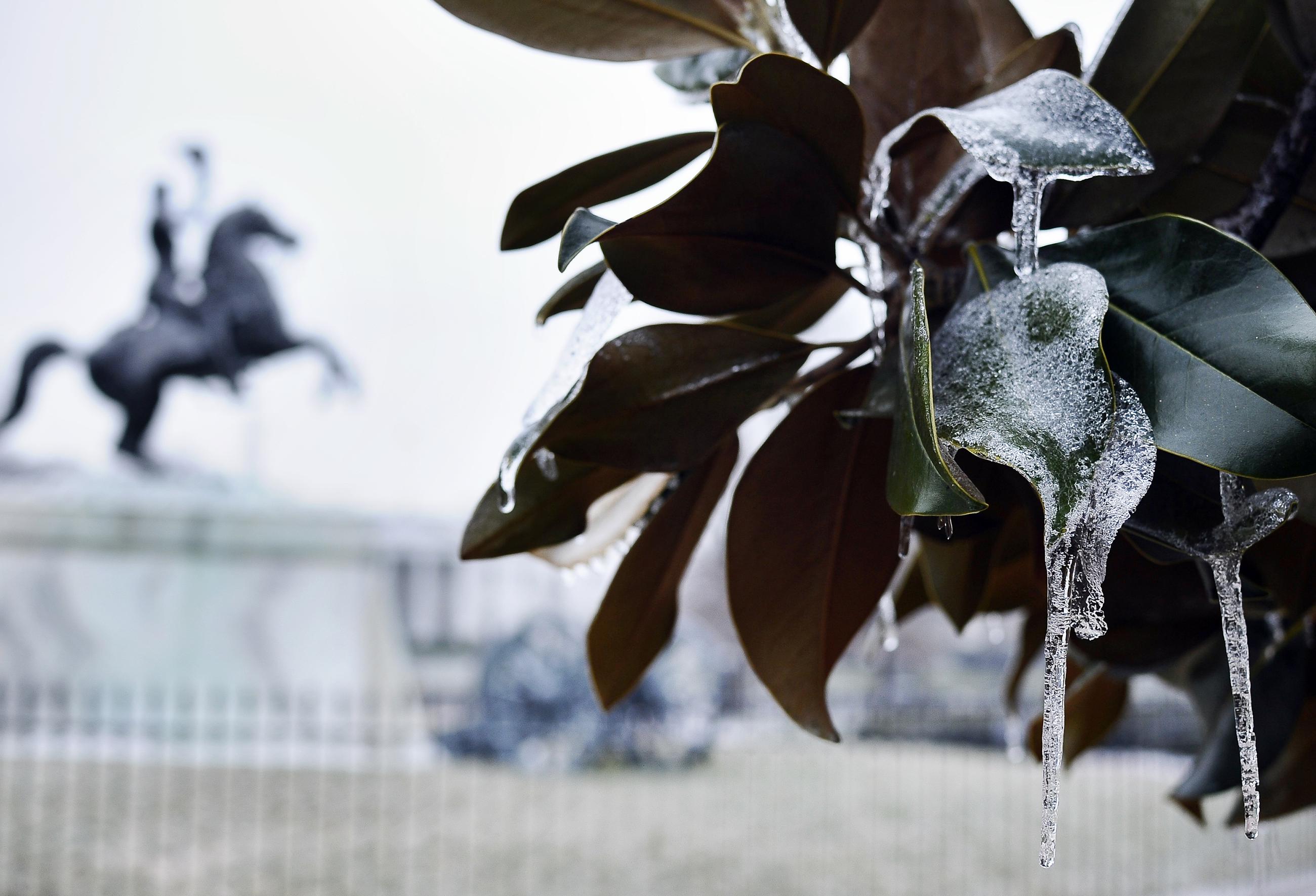 Worried About the Polar Vortex? A Blizzard 18 Years Ago Today Was Worse