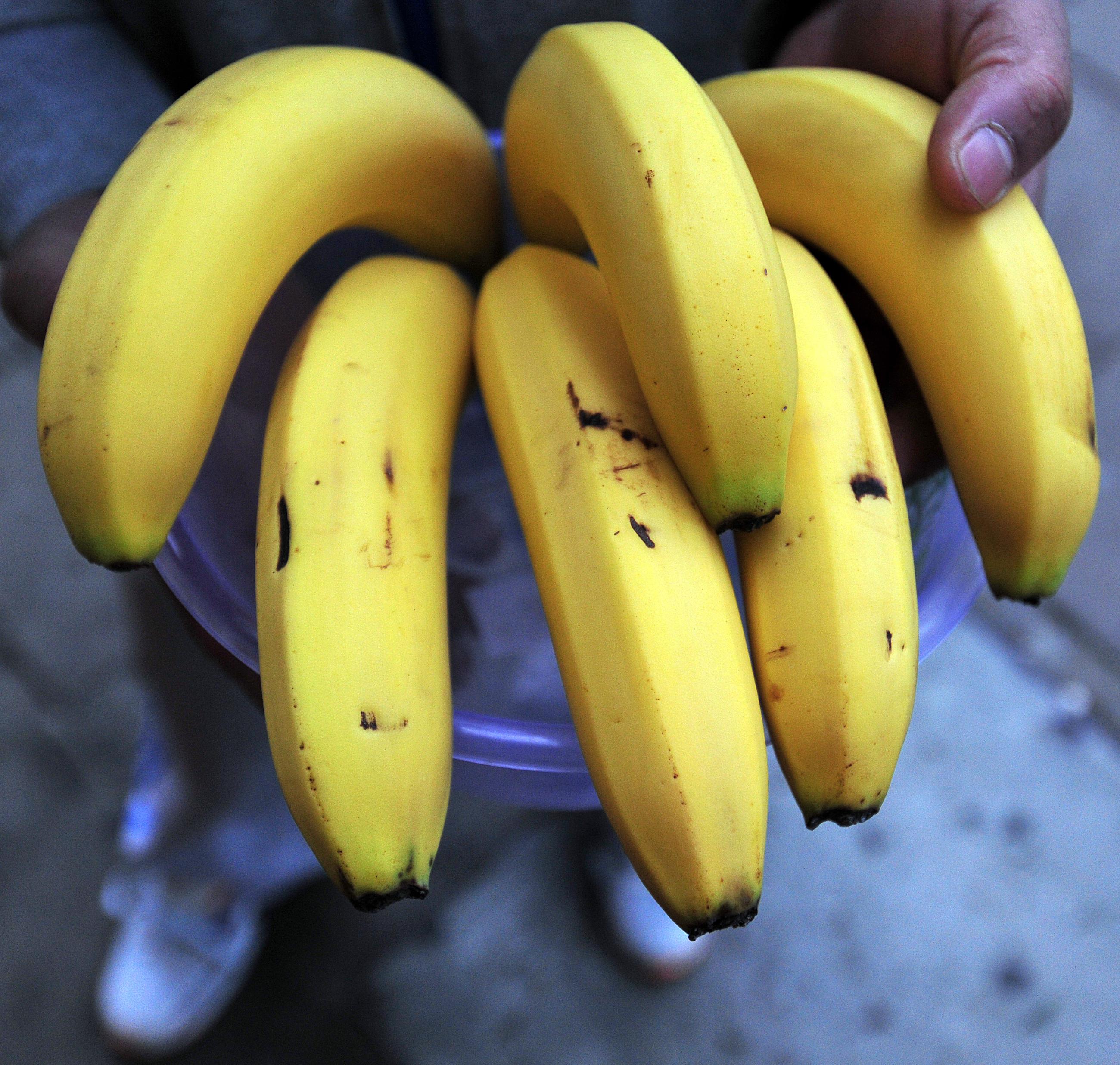 Could America Become a Banana Republic?