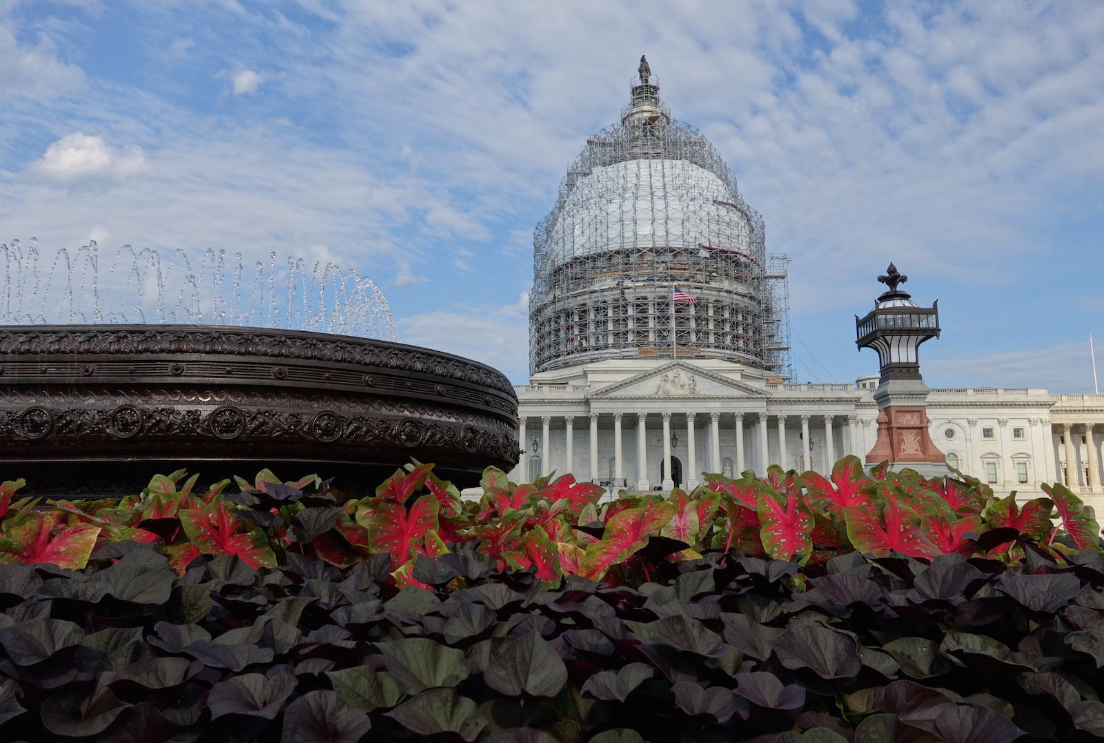 As First Women Graduate Army Ranger School, Women Veterans in Congress ...