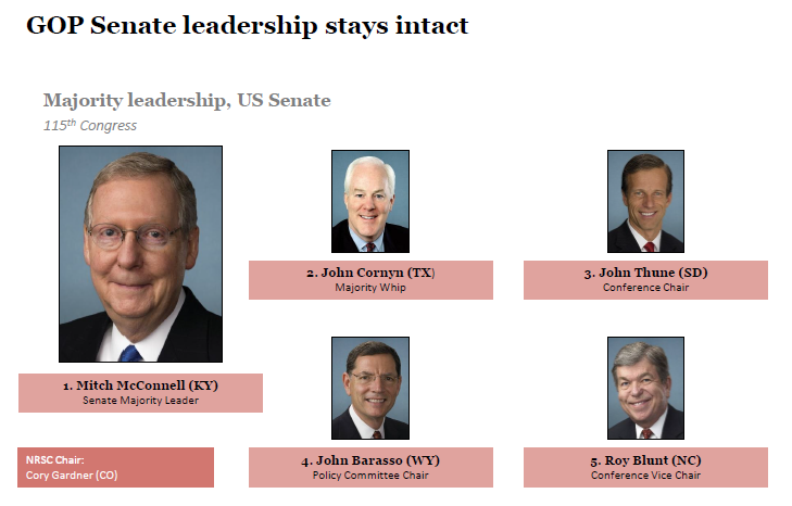 majority leader example