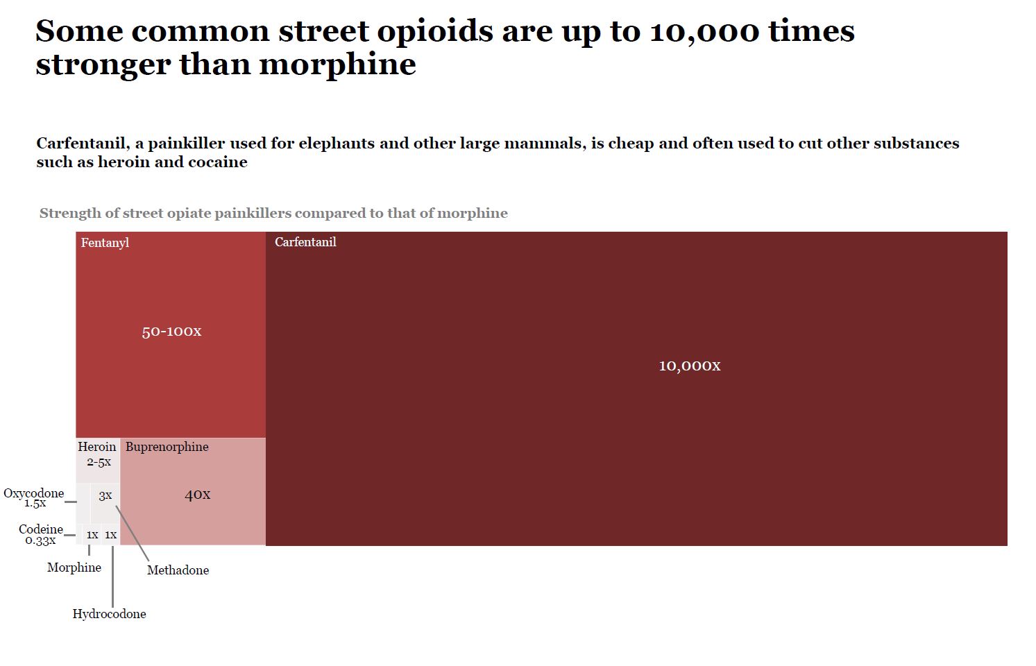 Potency of common street opioids