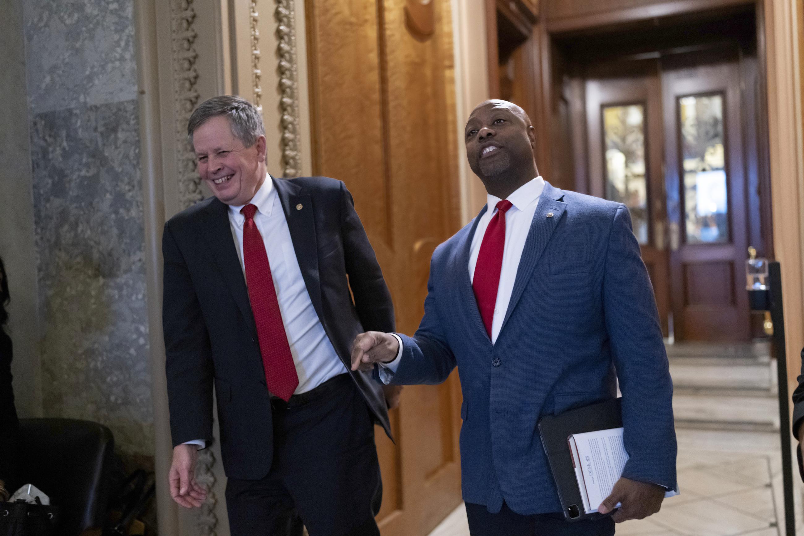 Meet the Campaign Committee Chairs